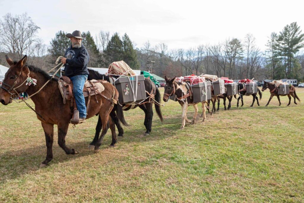 Meet the Mules | Mission Mules Pack Team & Adopt-A-Mule Program