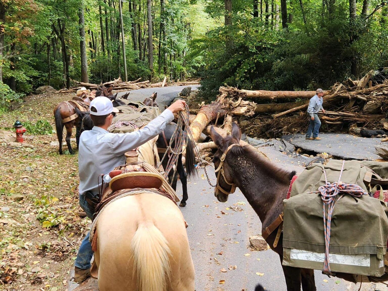 Volunteer With Us | Mission Mules — Join Our Disaster Relief Team
