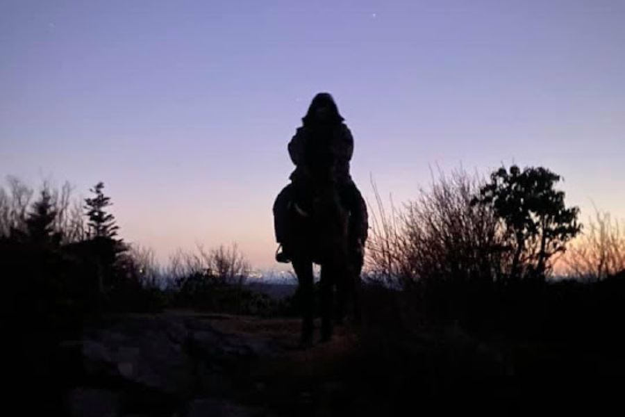 Meet the Mules - Mission Mules